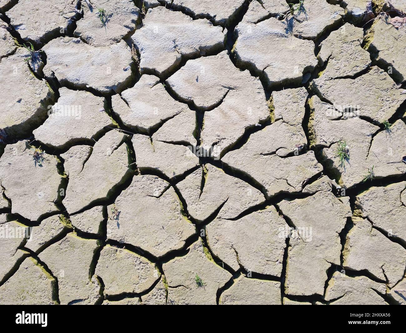 Closeup of a ground broken and arid due to drought Stock Photo - Alamy