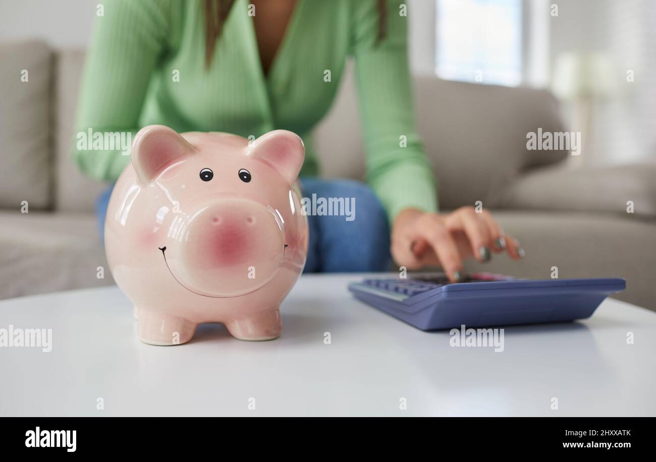 Close up of piggy bank in form of pink pig near young woman counting on ...
