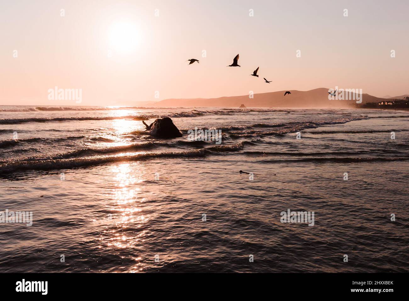 Beautiful view of a sunset over the water with birds in Cayucos ...