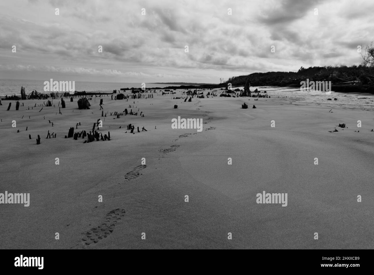 Shoe marks hi-res stock photography and images - Alamy