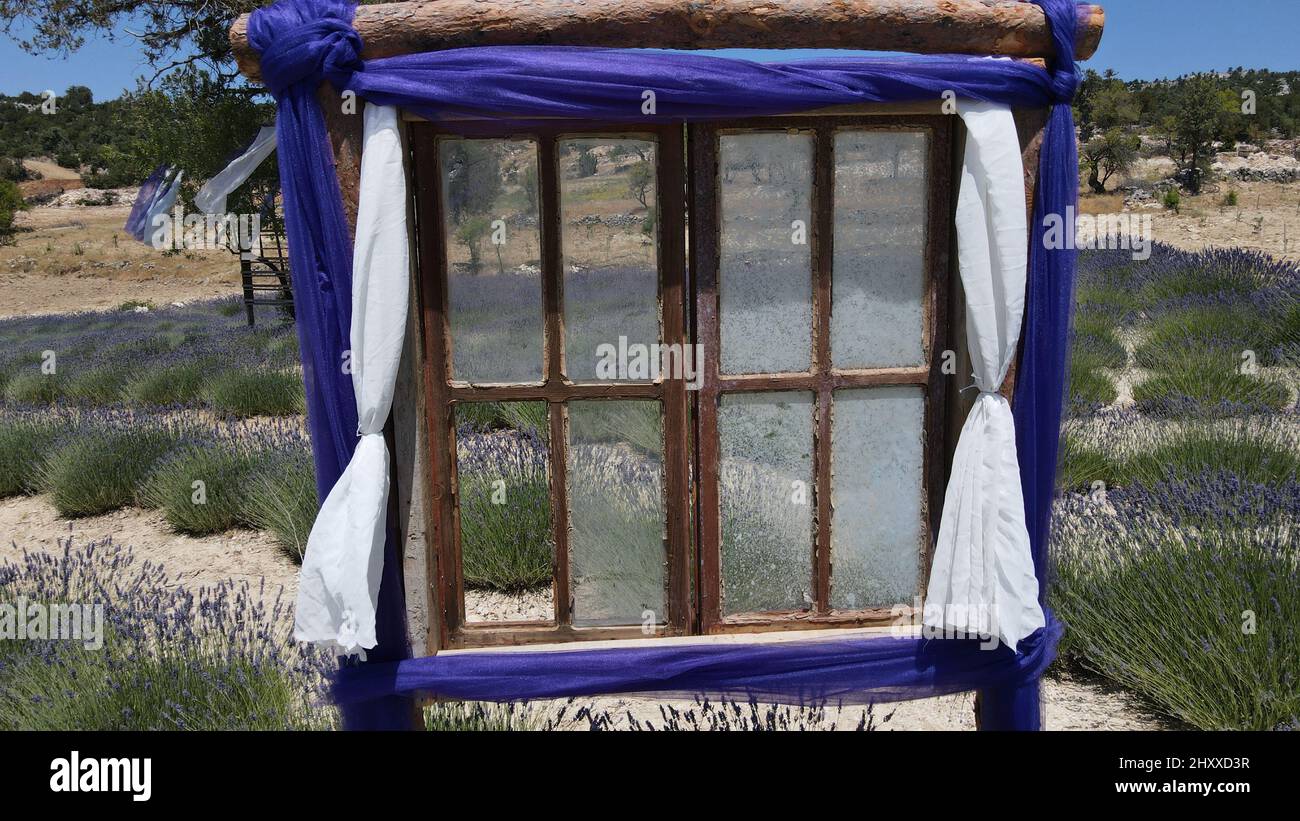 Wooden window frames with shades in a field of lavender flowers Stock ...