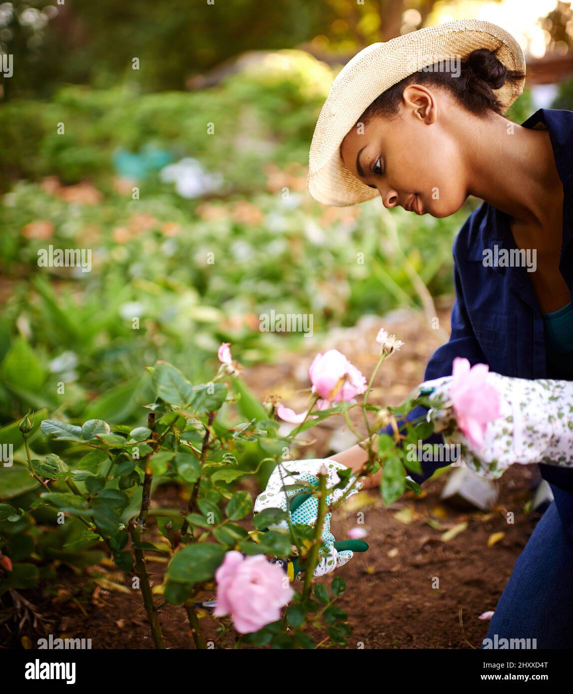 Female gardening garden hi-res stock photography and images - Alamy