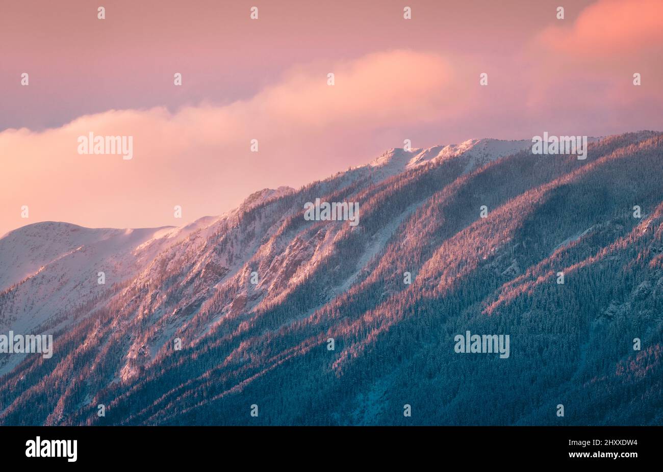 The view of rocky mountains in the purple sunset Stock Photo - Alamy