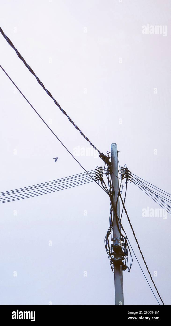 Vertical shot of electricity wires under a bright sky Stock Photo - Alamy
