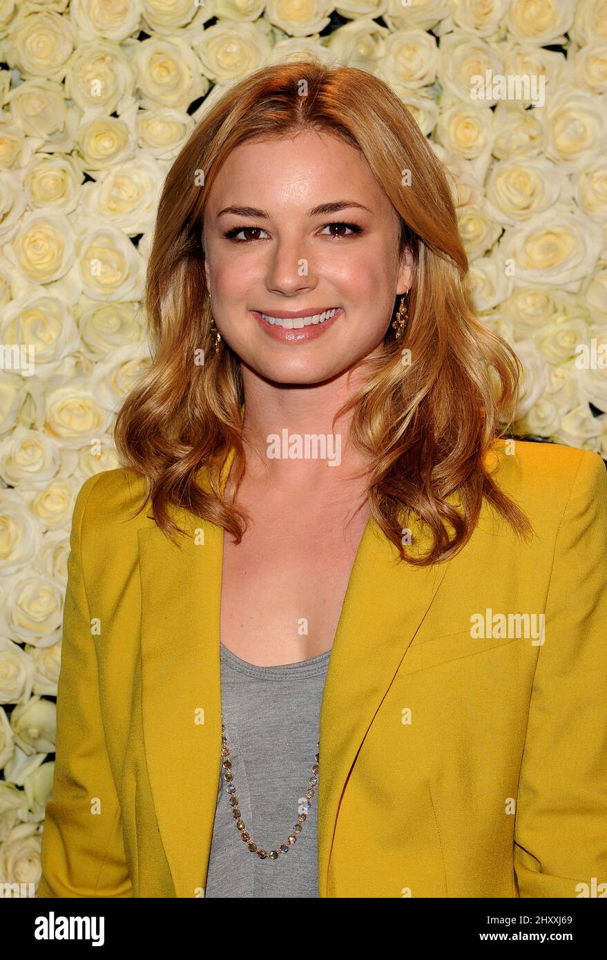 Emily VanCamp during the QVC Red Carpet Style Event held at the Four ...