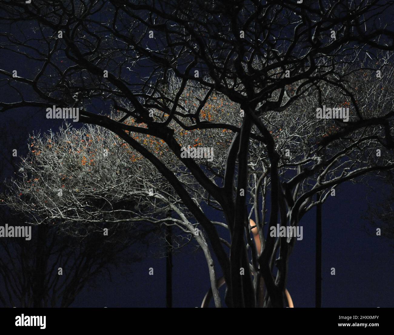 Louisiana Art and Science Museum Park Stock Photo - Alamy Louisiana Art and Science Museum Park Stock Photo - Alamy
