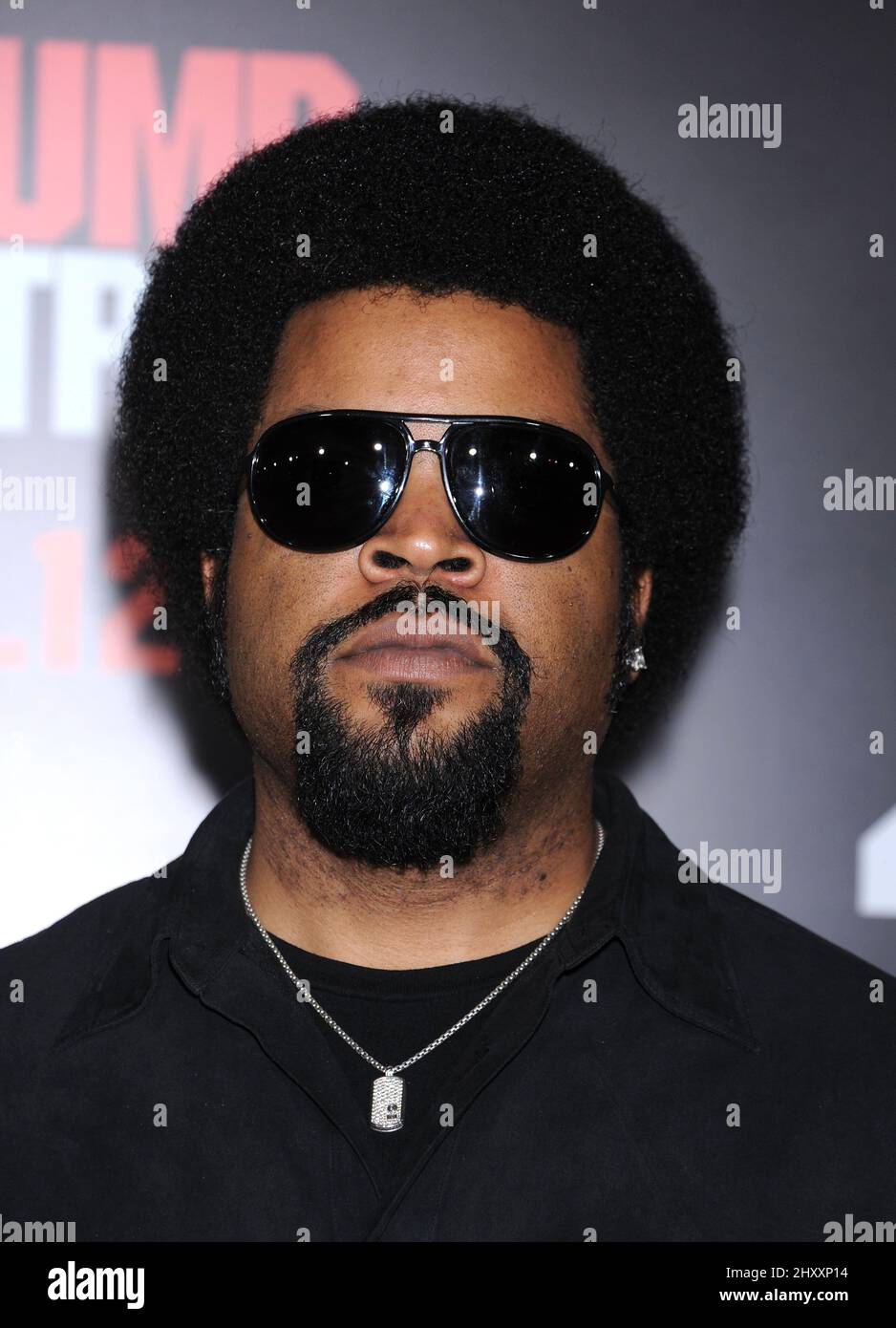 Nwa Ice Cube Jheri Curl
