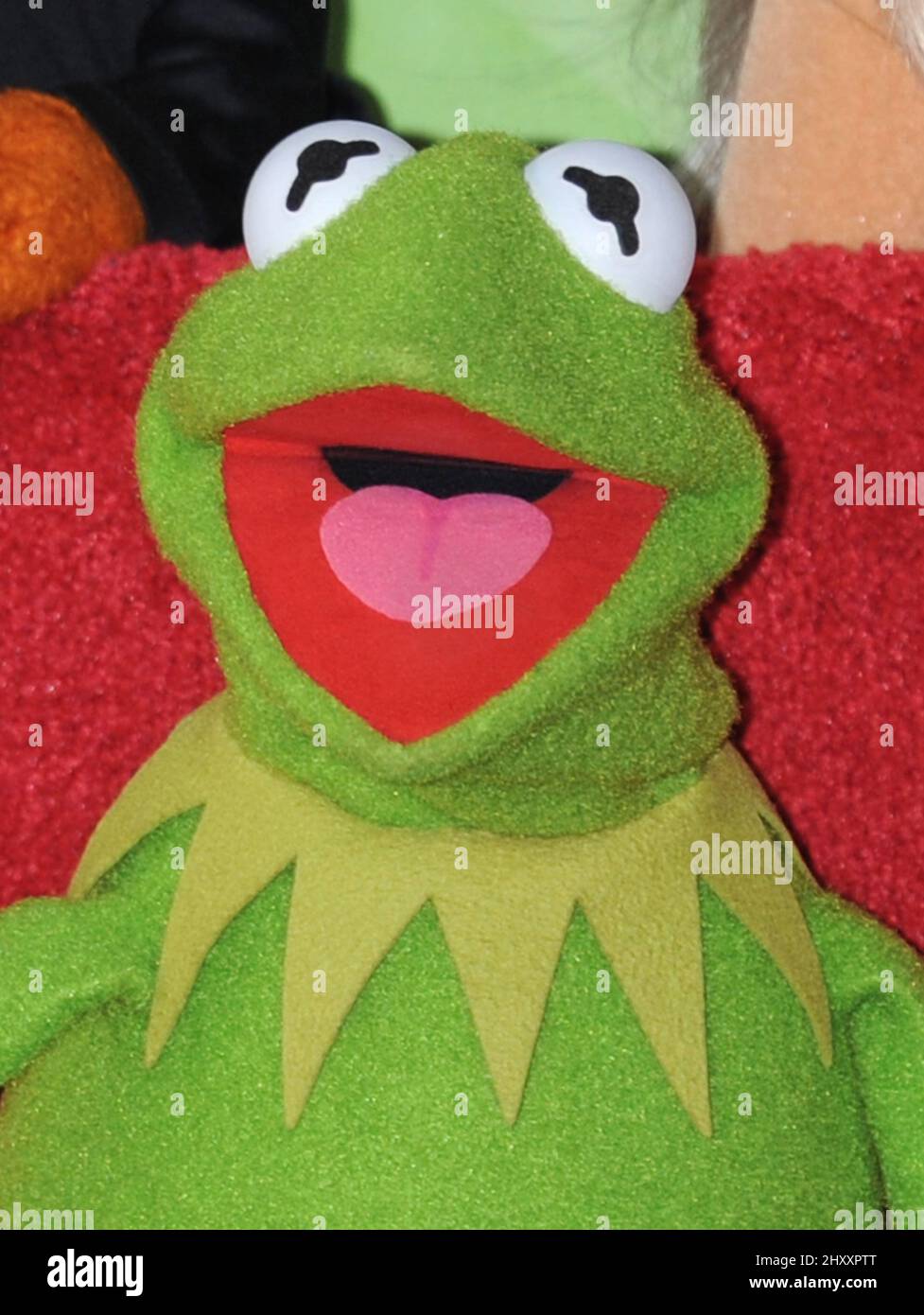 Kermit at The Muppets Hollywood Walk of Fame Star Ceremony in Los ...