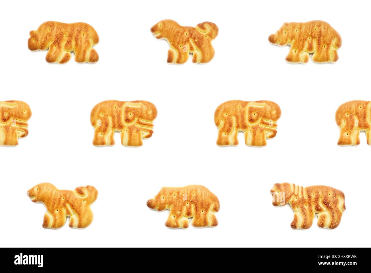 Seamless pattern of animal shaped cookies, isolated on white background ...