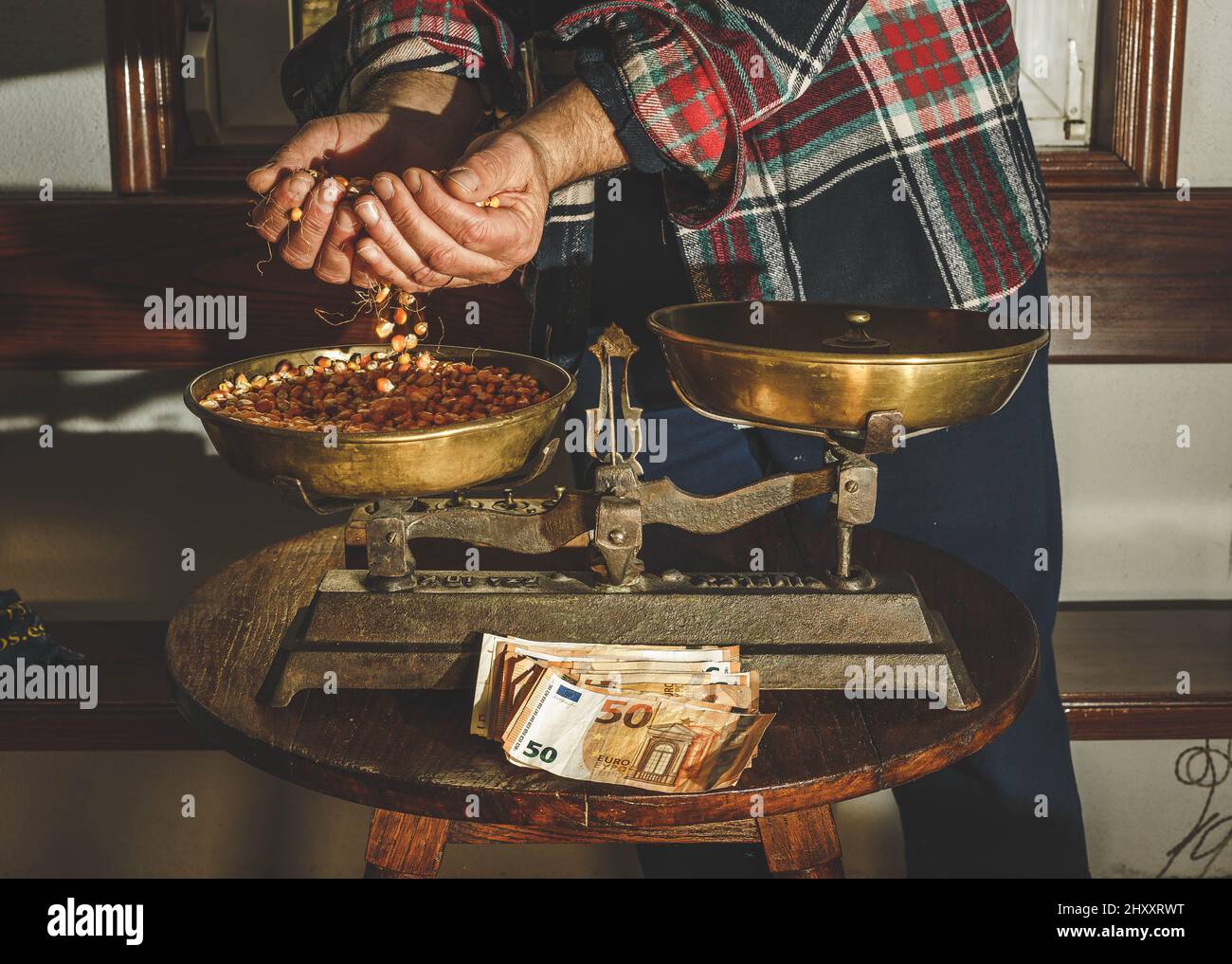 Measure the corn hi-res stock photography and images - Alamy