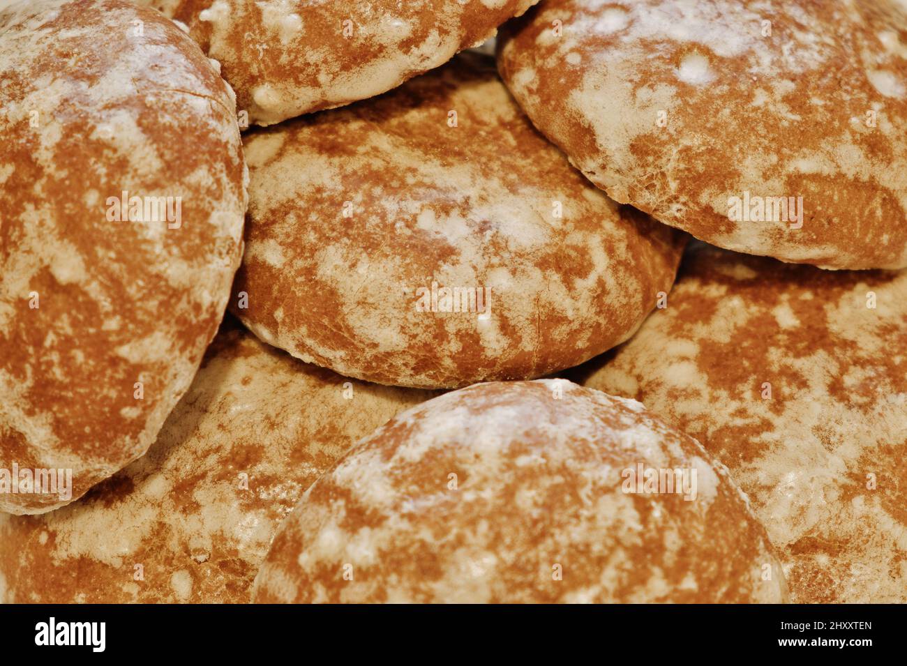 Close-up of russian round sweet gingerbread cookies with white sugar ...