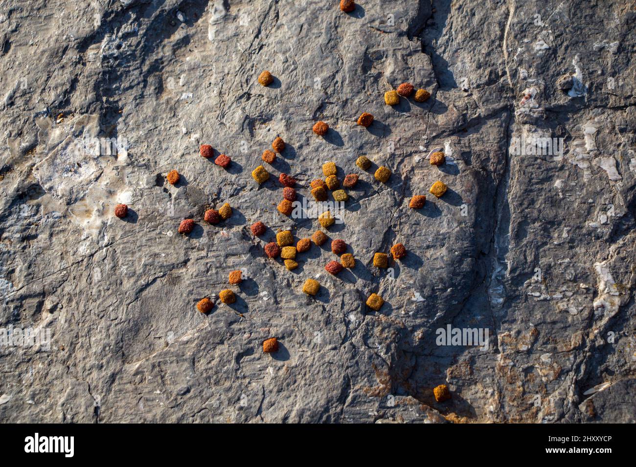 A top view of rock background in daylight Stock Photo - Alamy