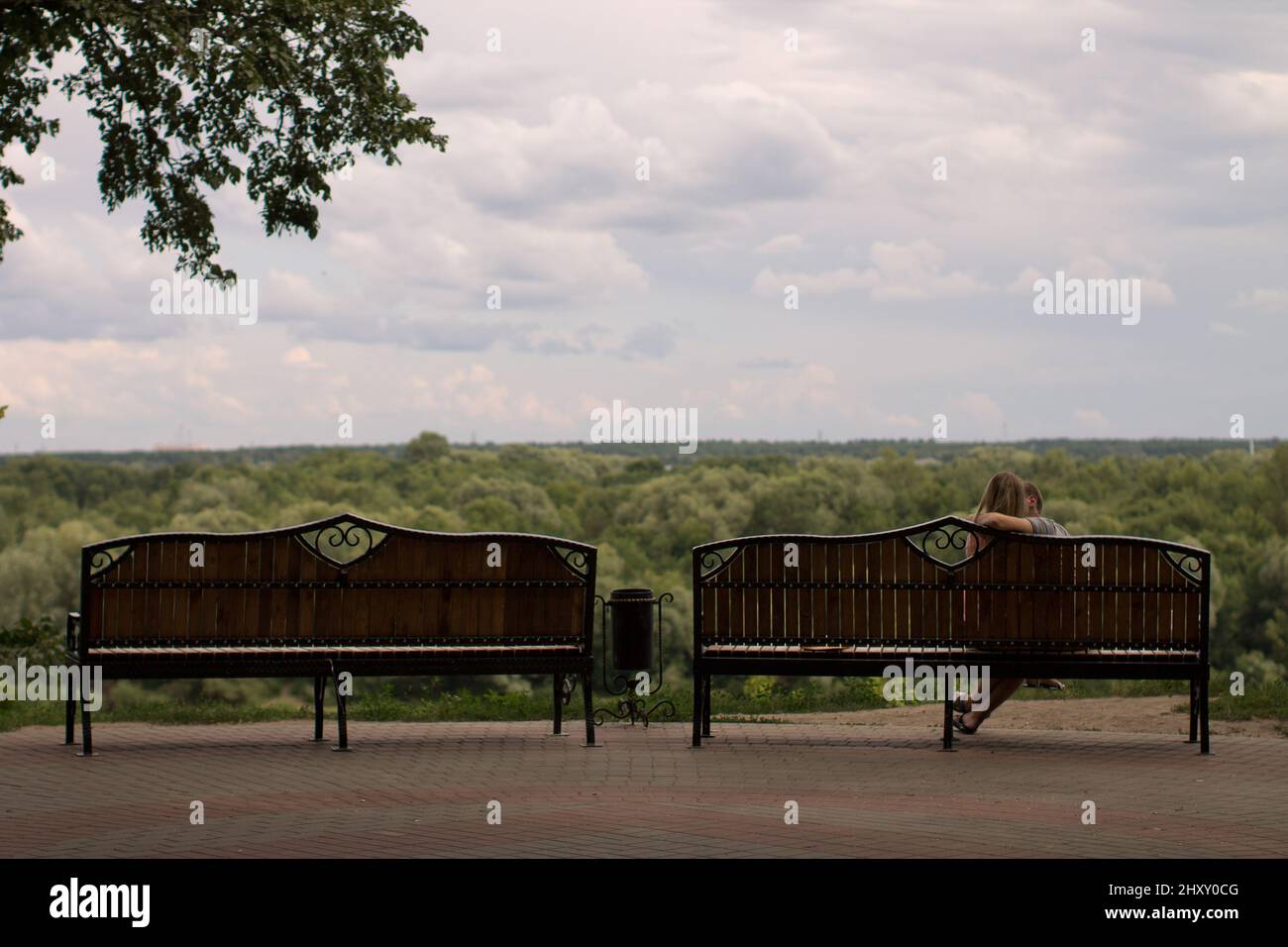 Back view of a couple sitting on a wooden bench and kissing on the ...