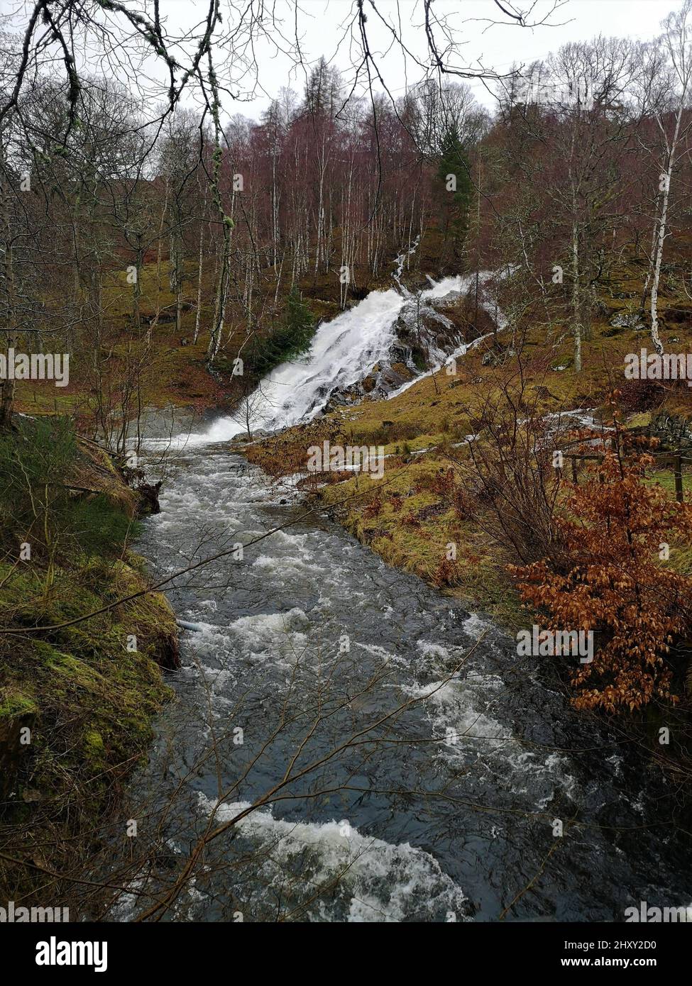 A winters day view of a waterfall and river in spate after heavy rain ...