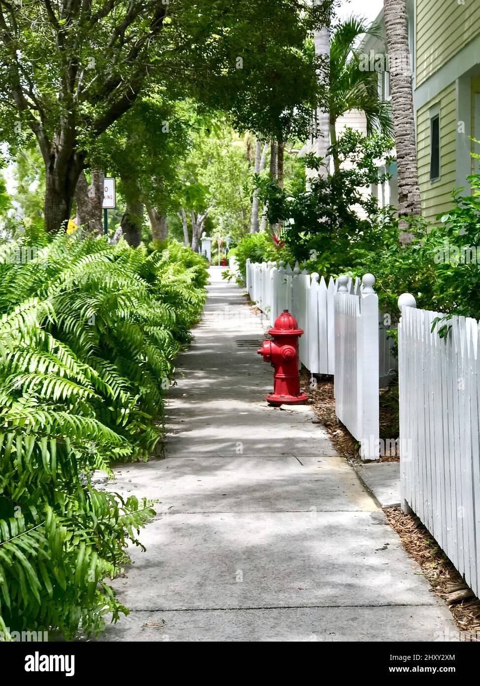 Closeup of a fire hydrant near a white fence in the street Stock Photo ...