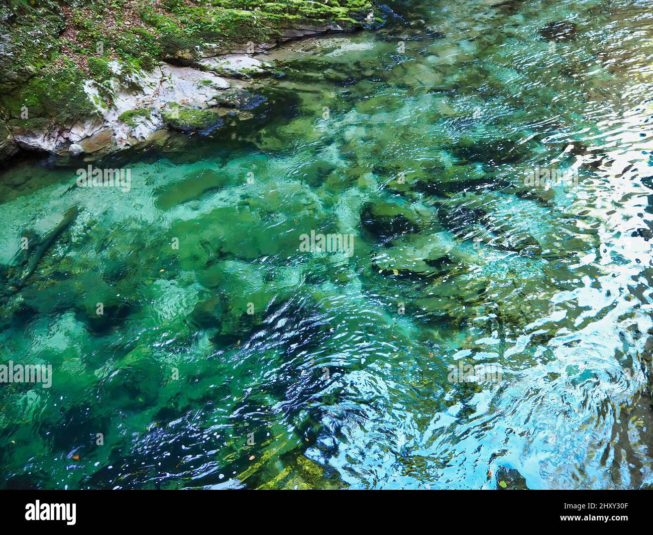 Daylight shot of the water surface of the river in the Vintgar Gorge ...