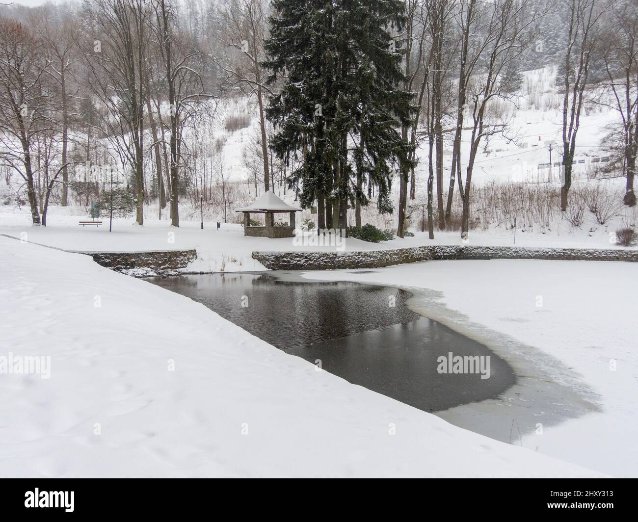 Horizontal shot of a park with a lake frozen over in the winter season ...