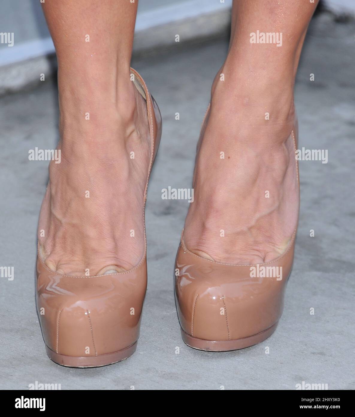 Peta bob barker building hi-res stock photography and images - Alamy