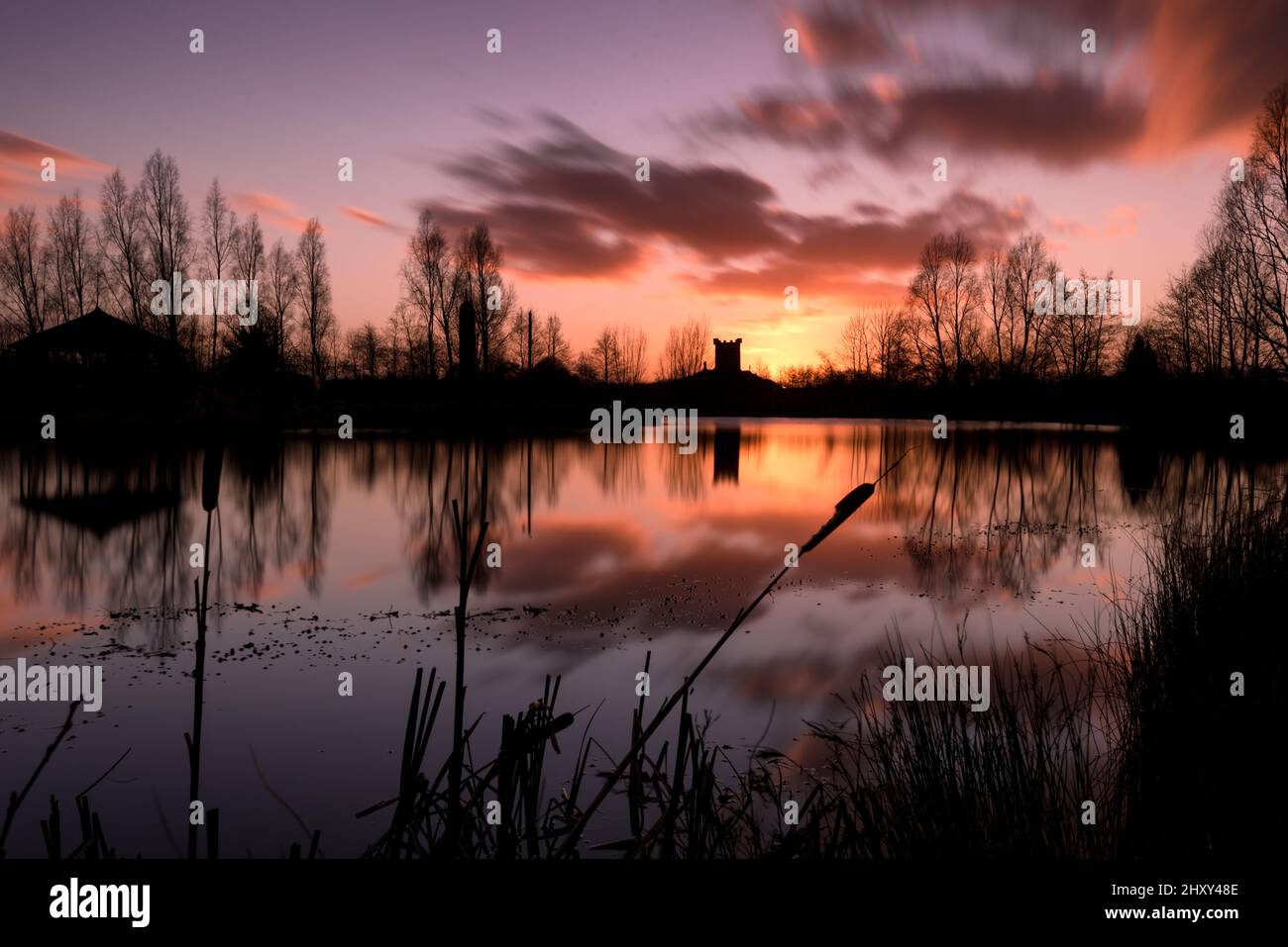 Pink sunset view over the silhouettes of trees and a lake with ...