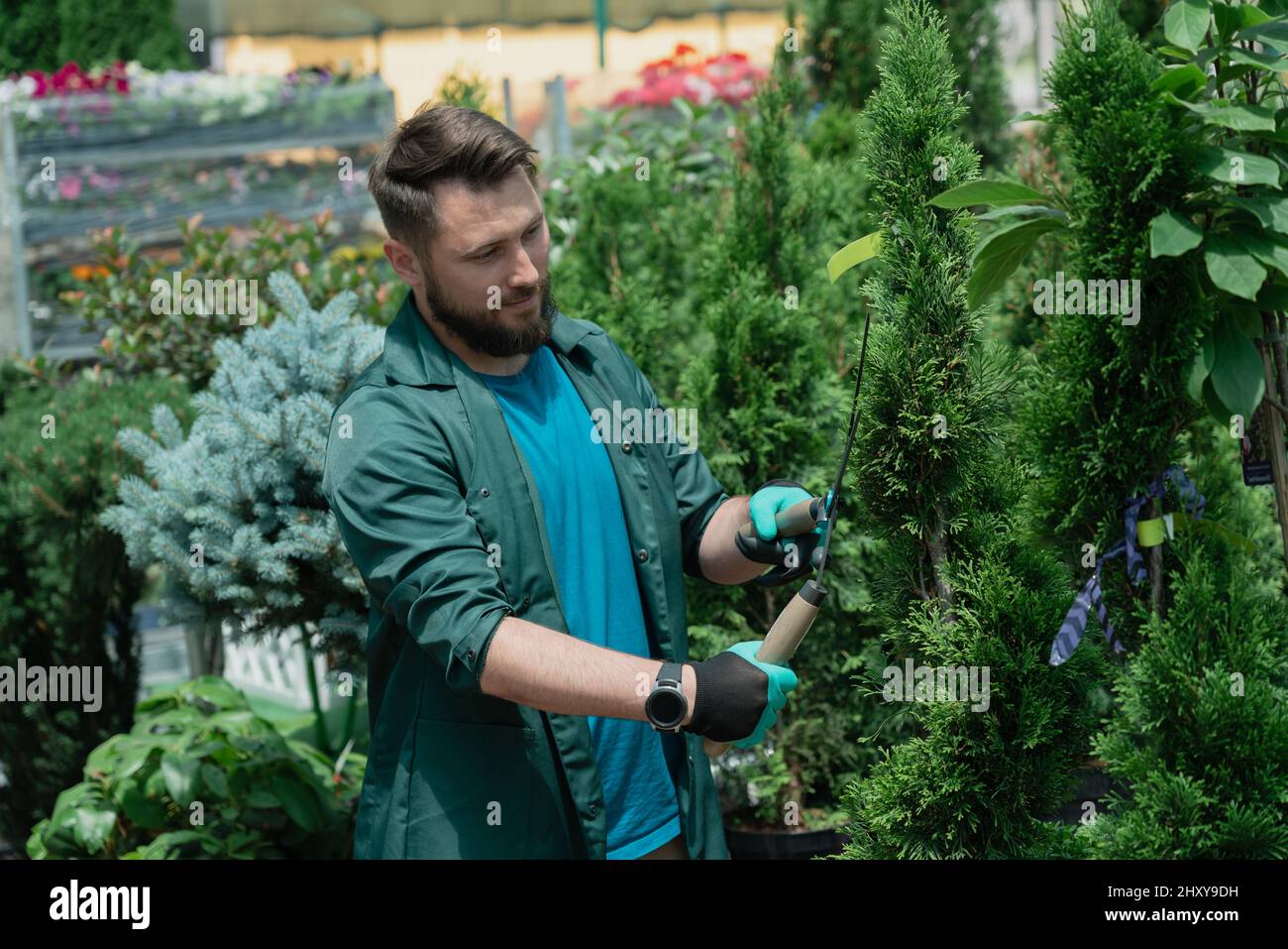 Cutting trees for sale hi-res stock photography and images - Alamy