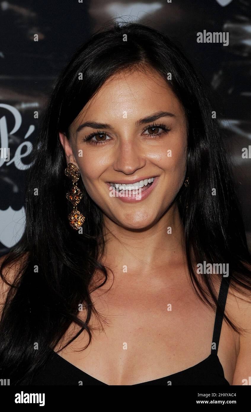 Rachael Leigh Cook attending the Don Perignon Limited Edition Party ...