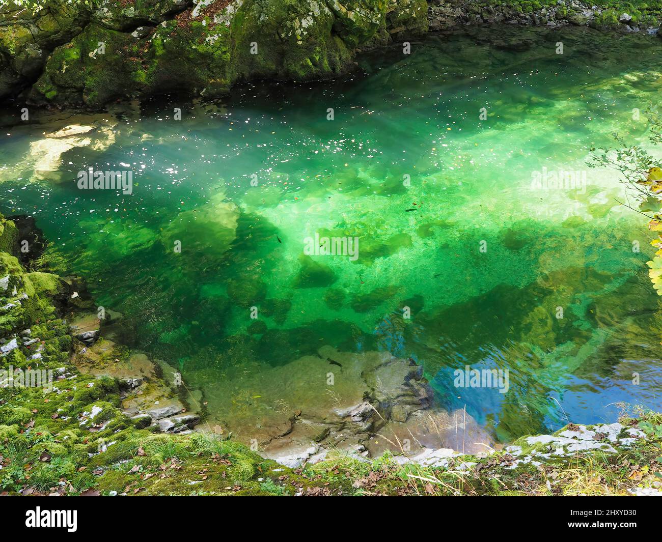 Beautiful azure river surrounded by rocks in the Blejski vintgar ...