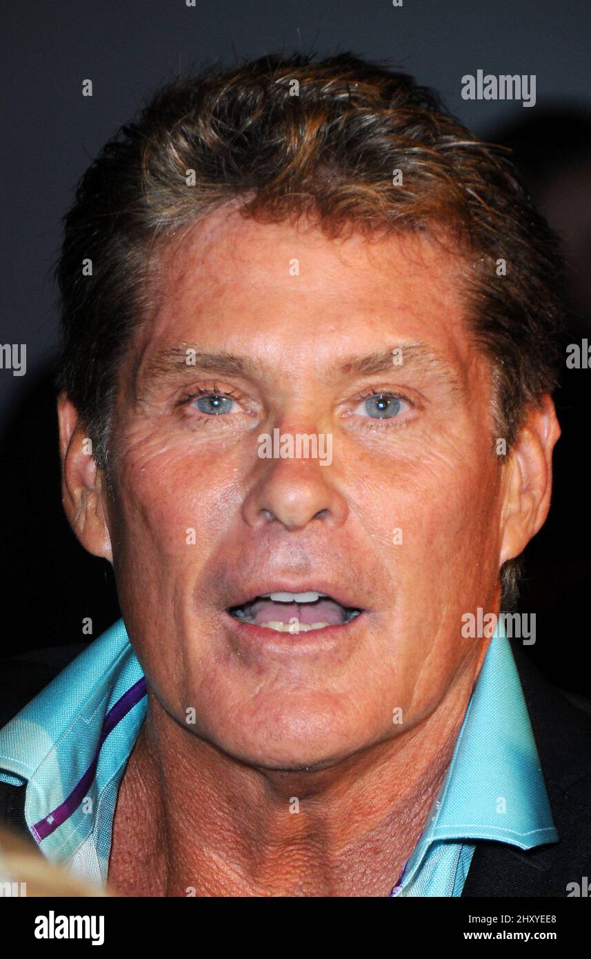 David Hasselhoff Celebrates His 60th Birthday at Greystone Manor ...