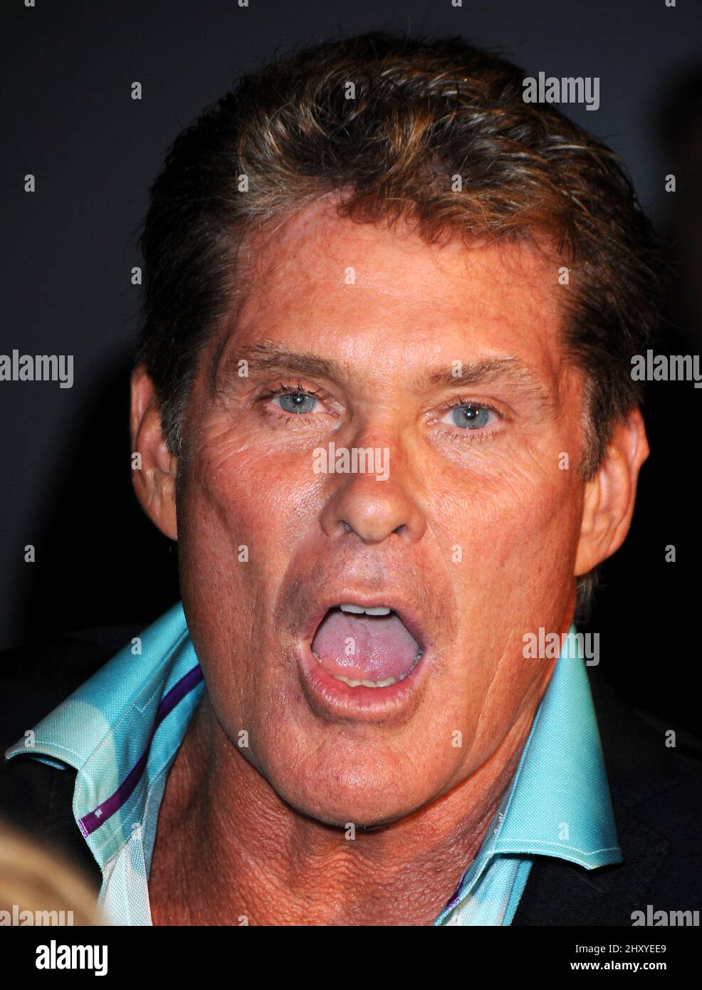 David hasselhoff celebrates his 60th birthday hi-res stock photography ...