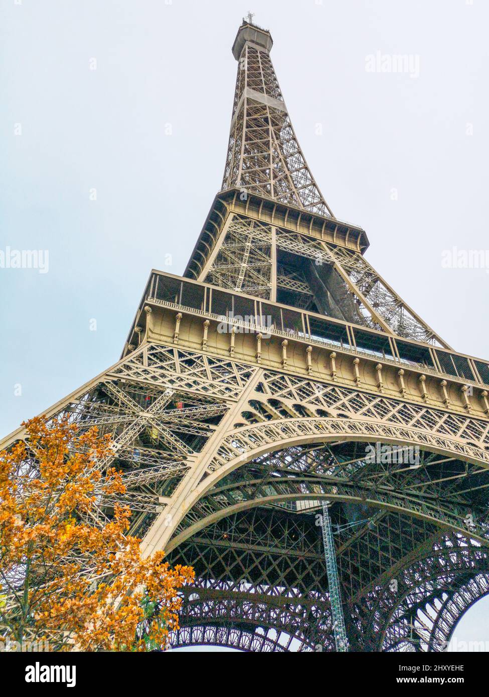 Low angle of the Eiffel Tower, Paris, France Stock Photo - Alamy