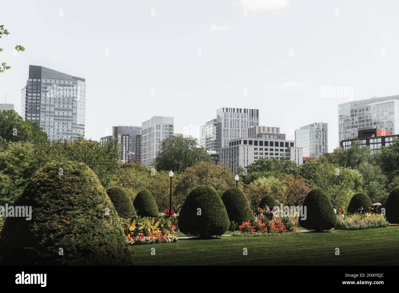 Beautiful landscape of a park in Boston Stock Photo - Alamy