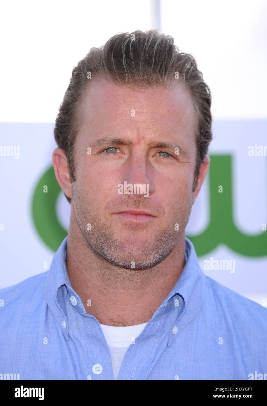 Scott Caan attends the CBS, Showtime and The CW Summer 2012 TCA Party ...