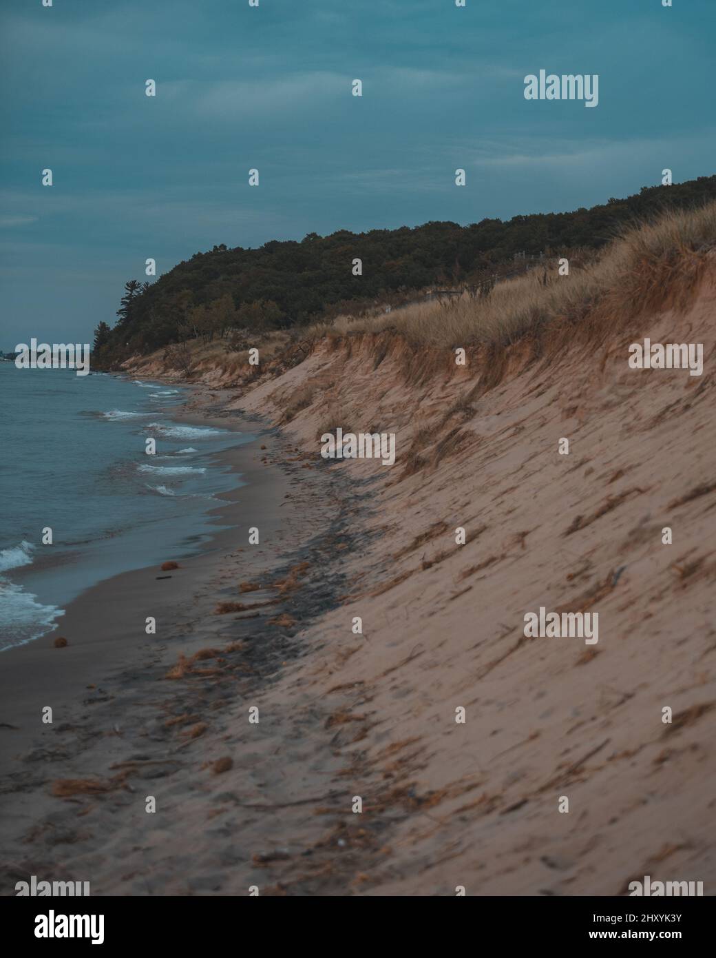 Forest on a sandy slope hi-res stock photography and images - Alamy