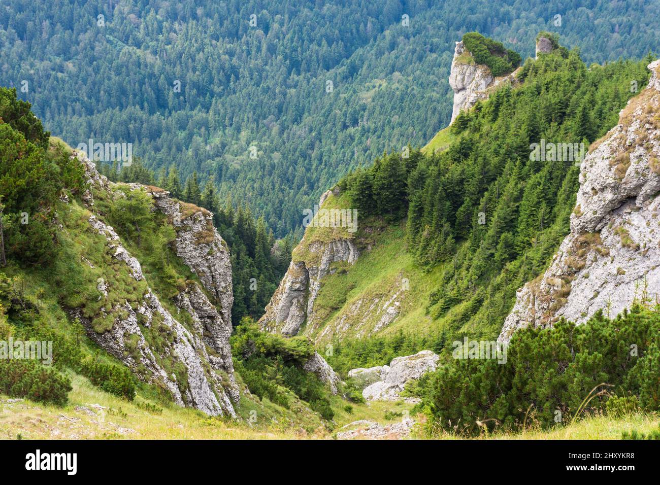Scenic view of the Ceahlau Massif mountains in Romania Stock Photo - Alamy