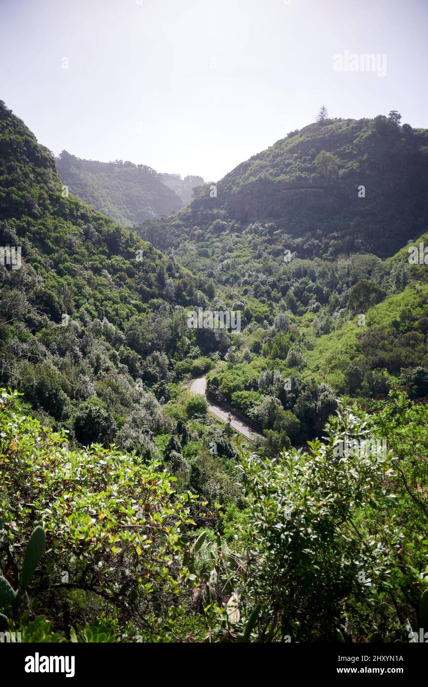 Los tilos park hi-res stock photography and images - Alamy