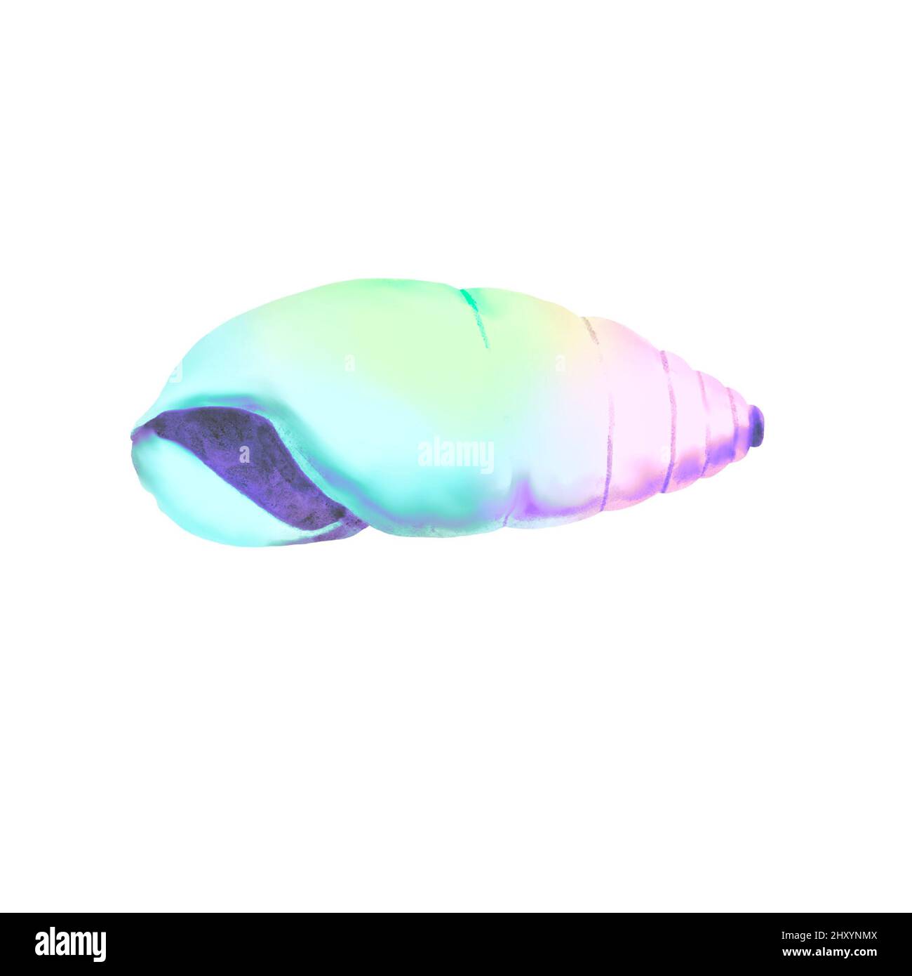 watercolor illustration of rainbow-colored shell. Bright seashells ...