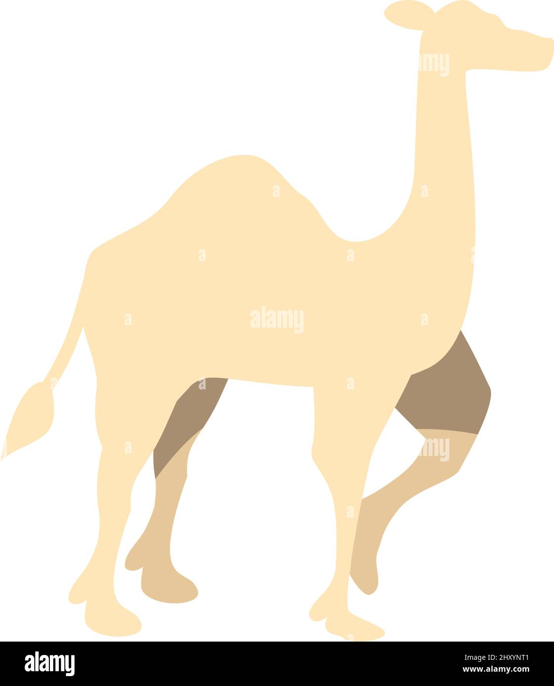 flat desert camel design Stock Vector Image & Art - Alamy