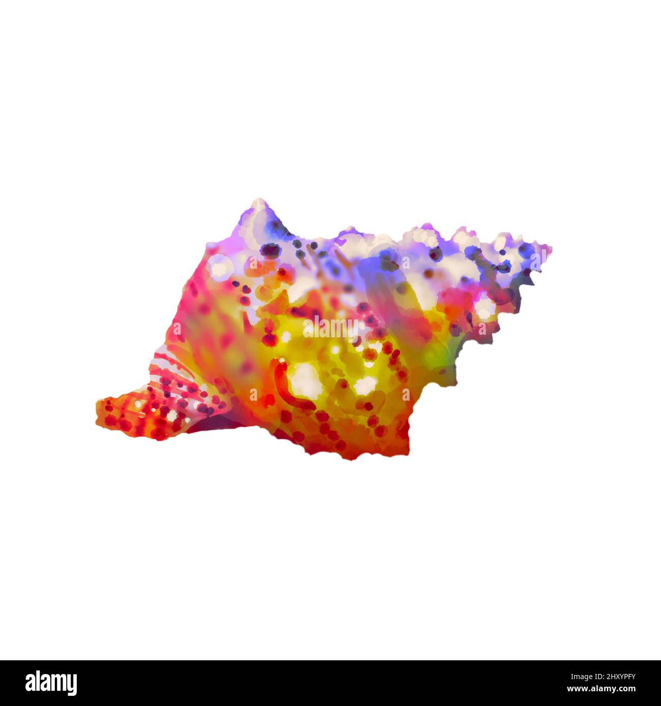 watercolor illustration of rainbow-colored shell. Bright seashells ...