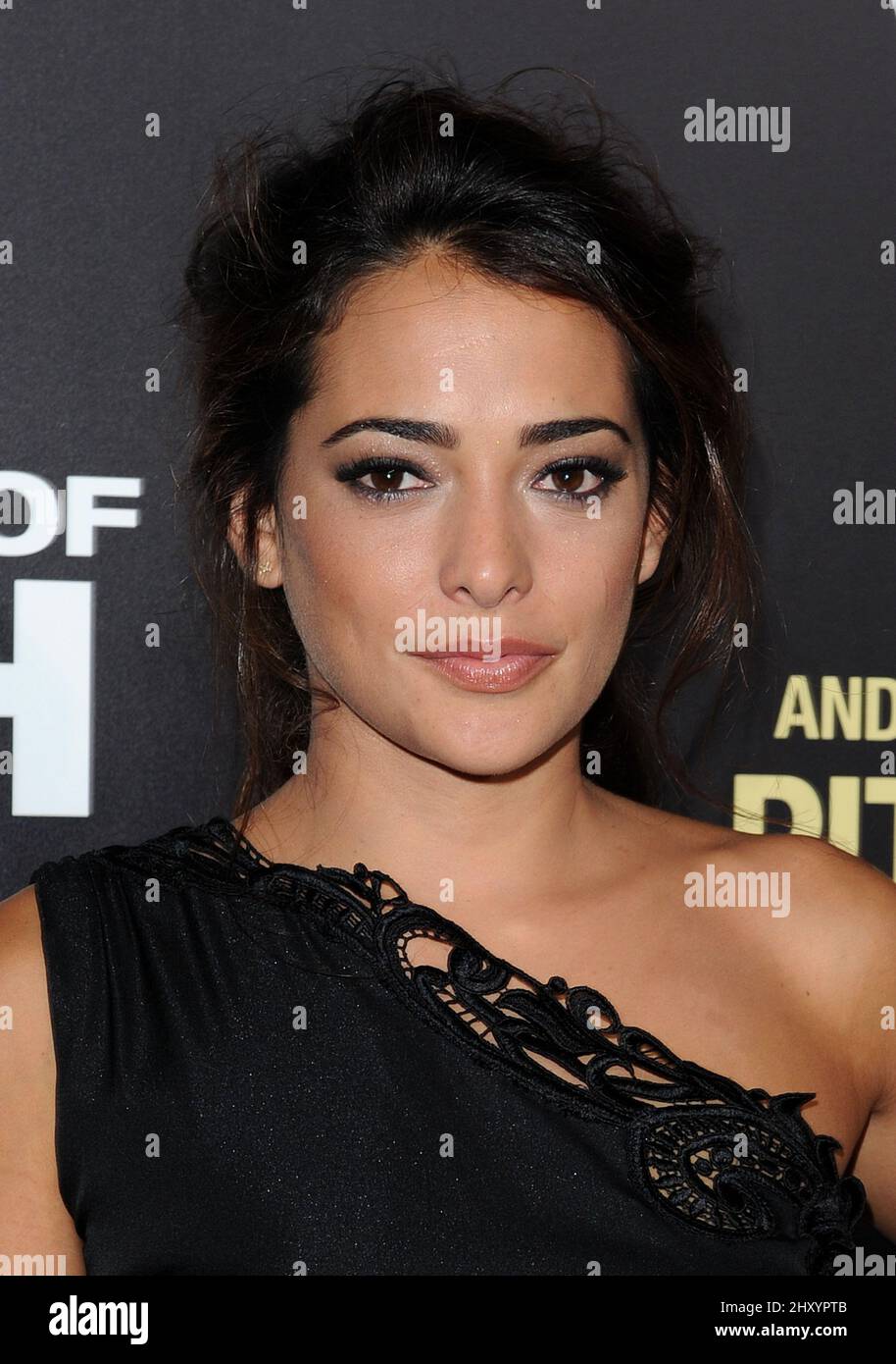 Natalie Martinez Attending The End Of Watch Premiere In Los Angeles
