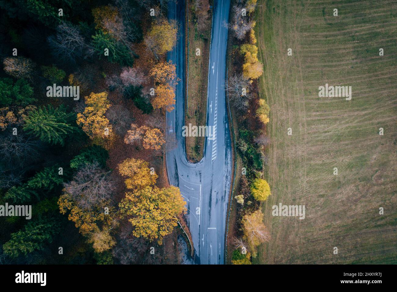Bird's eye view of forked junction between autumn forest and meadow ...