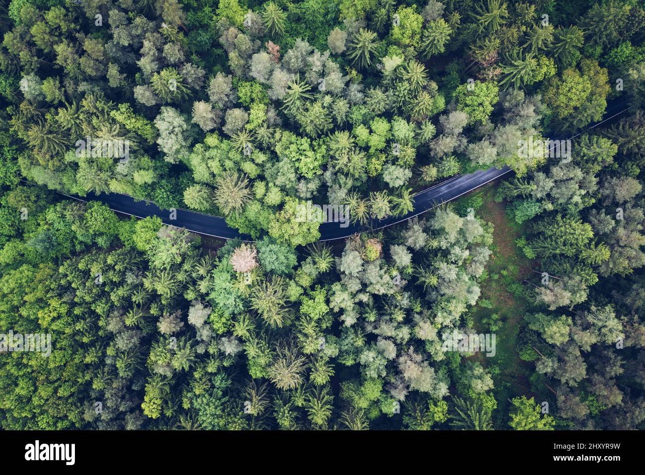 Bird's eye view the road leading through the forest Stock Photo - Alamy