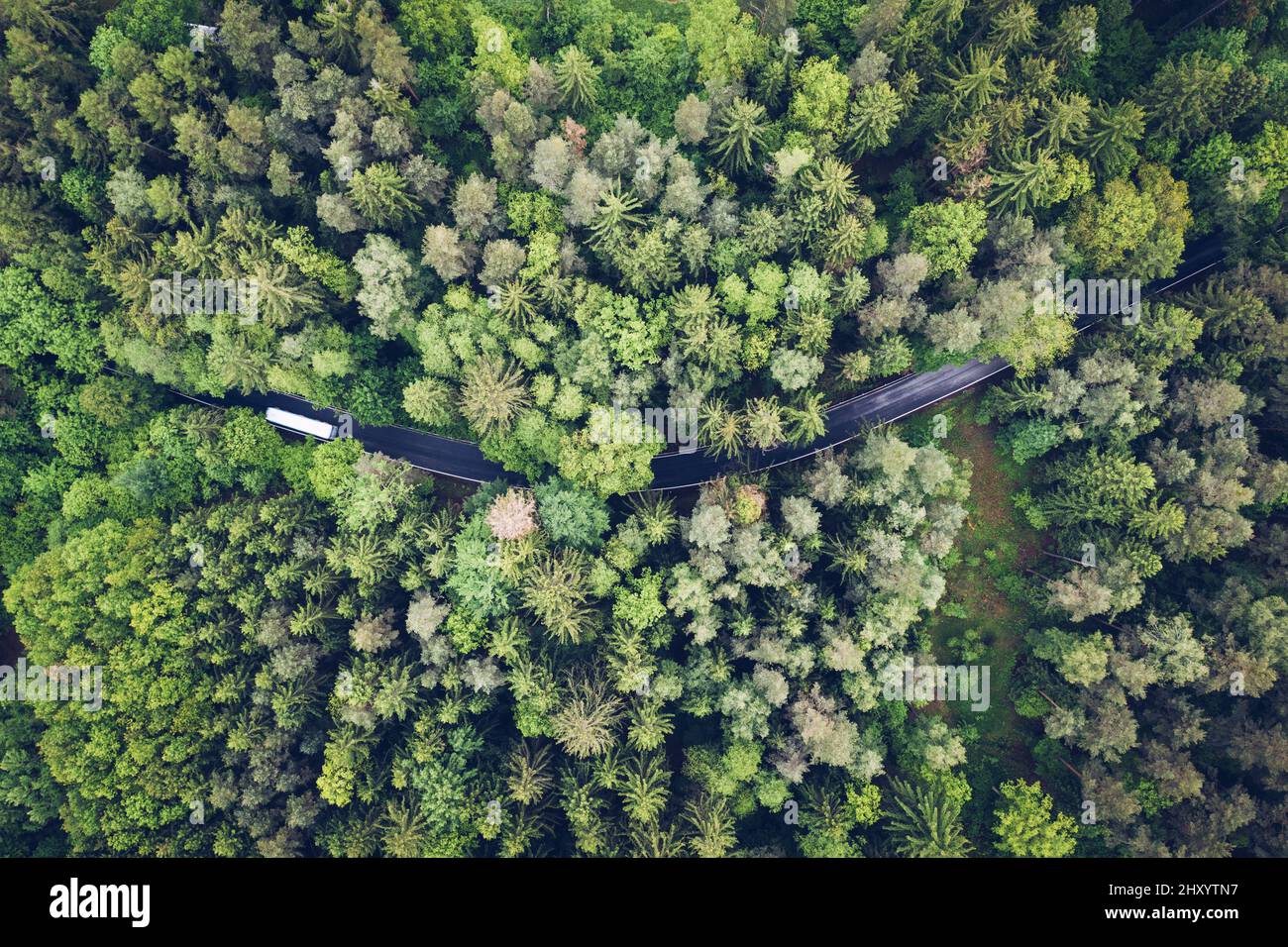 Bird's eye view a bus passing on the road leading through the forest ...