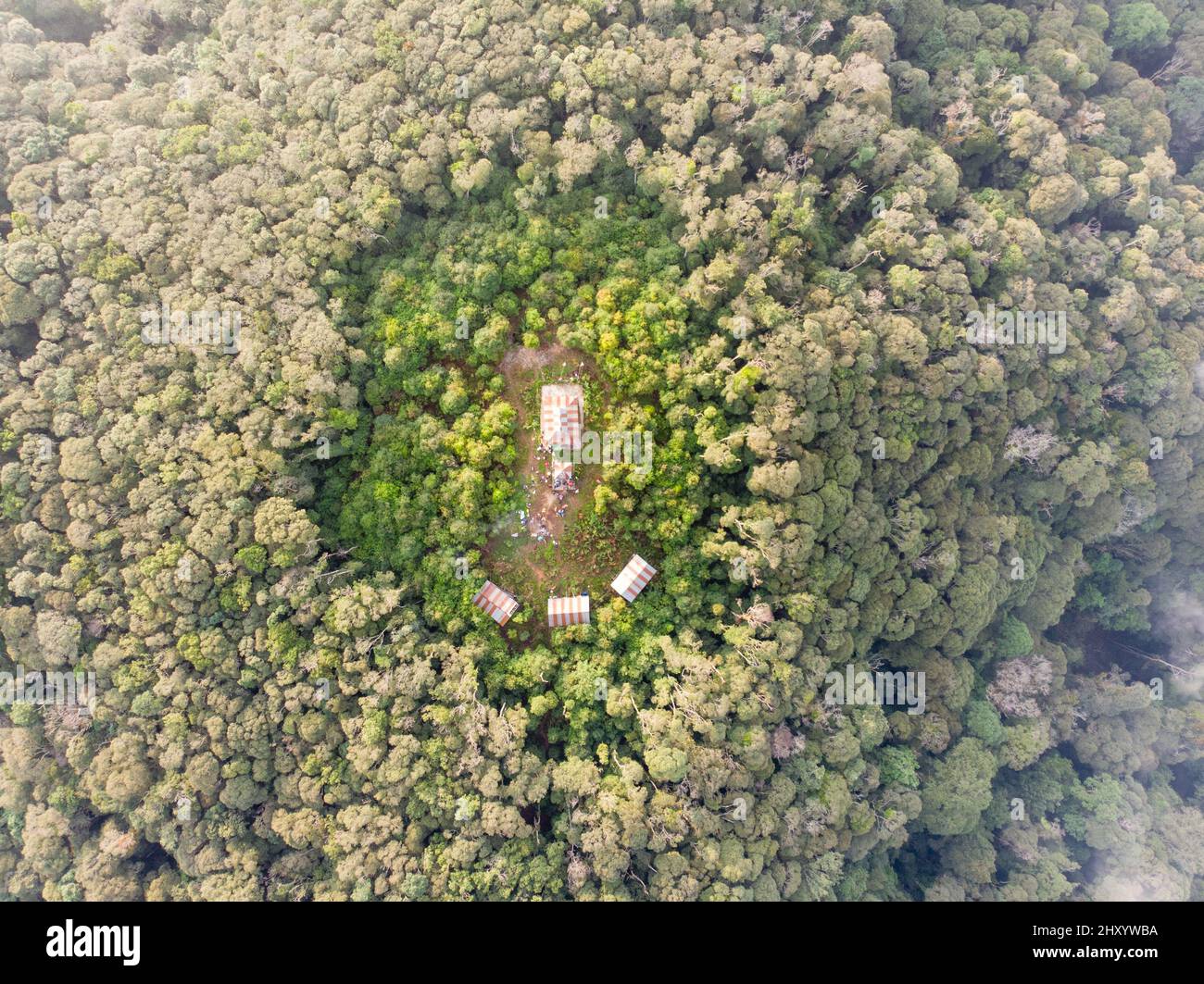 Bird's eye view of a forest Stock Photo - Alamy