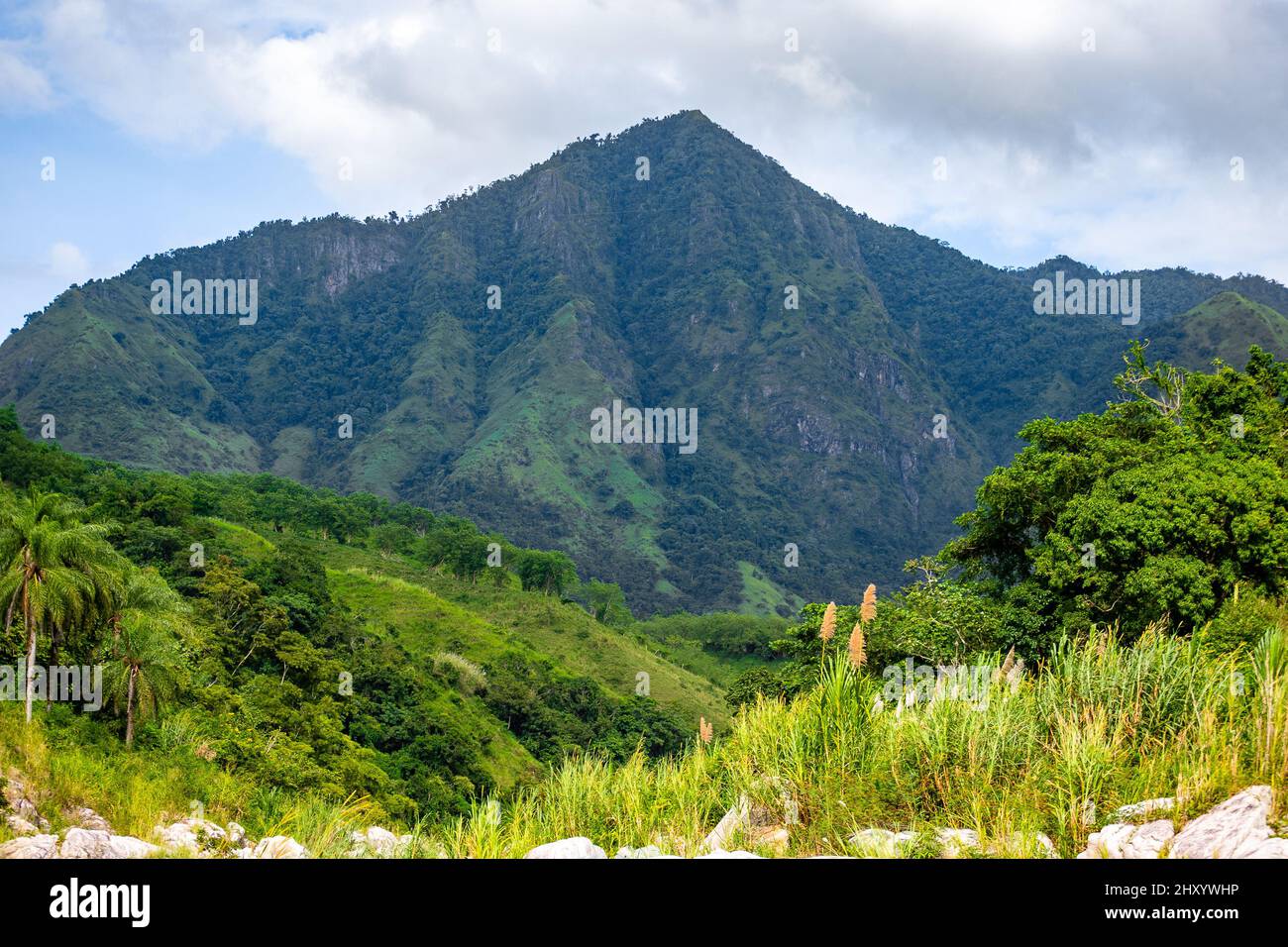 Utuado puerto rico hi-res stock photography and images - Alamy