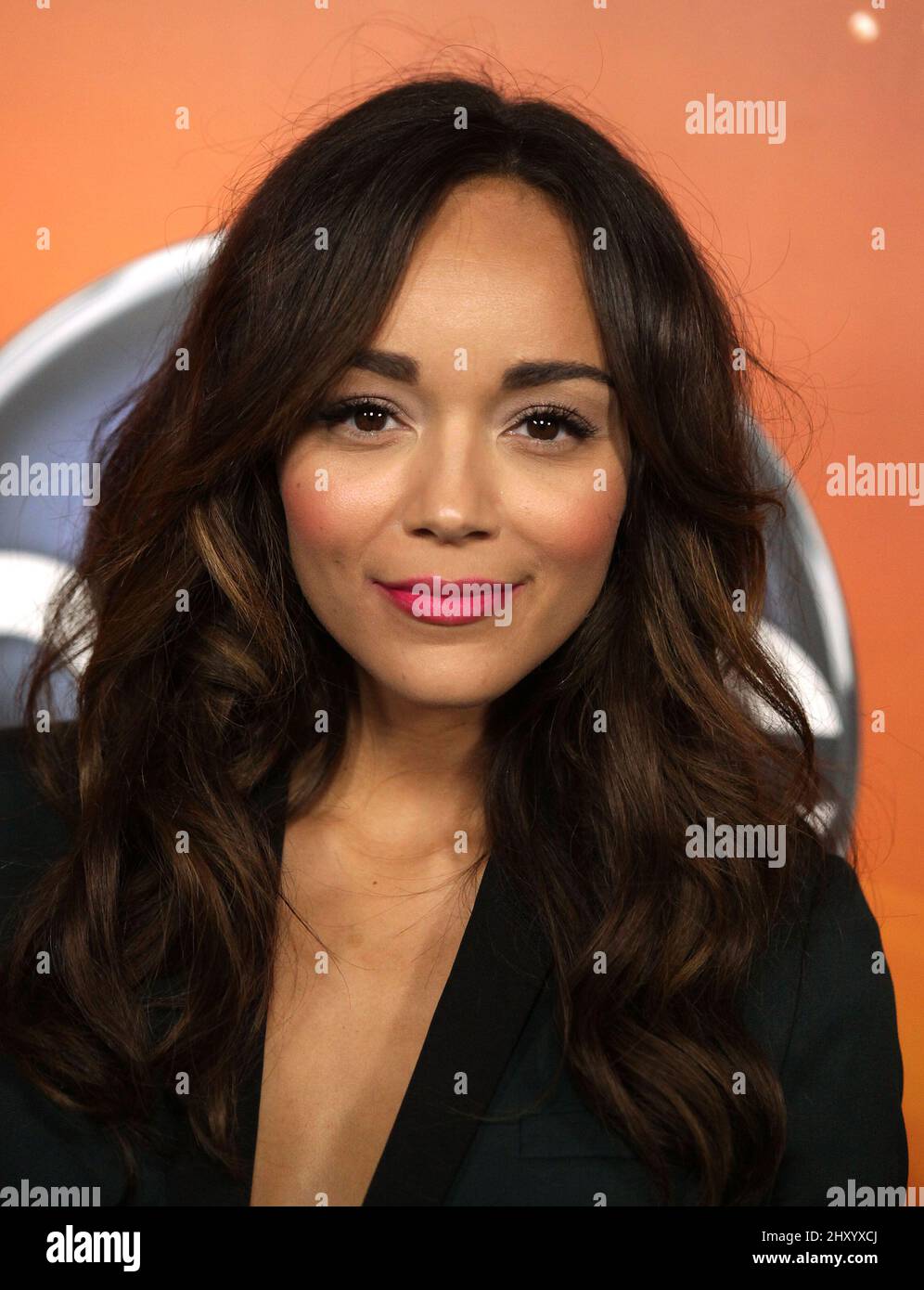 Ashley Madekwe attending the ABC Sunday Night Preview Party at ...