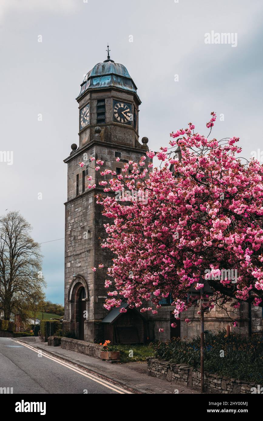 Ancient church with a pink cherry blossom tree Stock Photo - Alamy