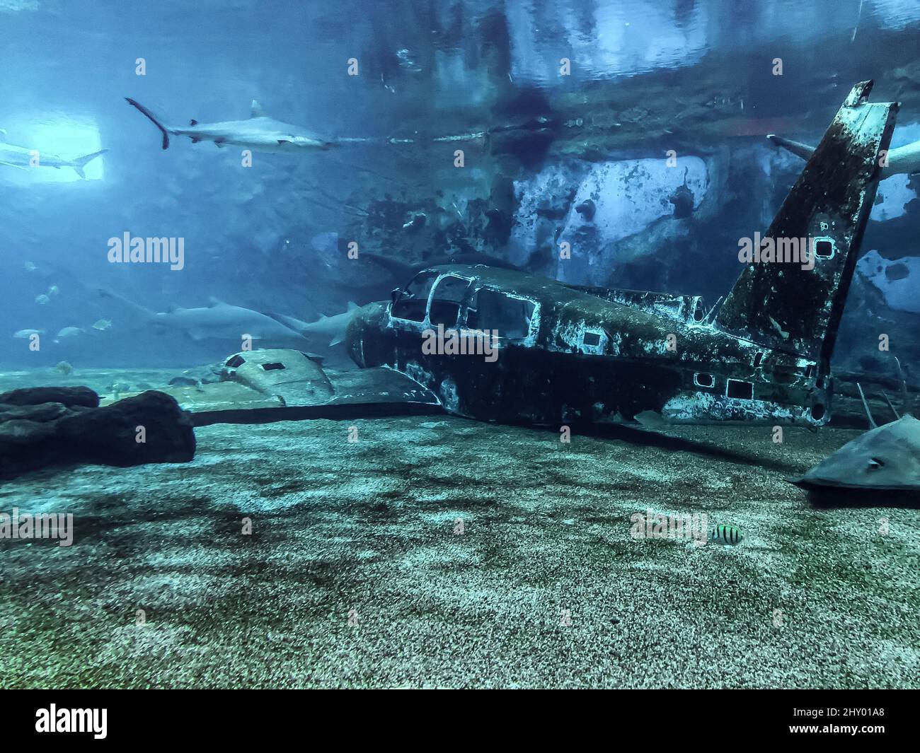 Of the destroyed plane under water Stock Photo - Alamy