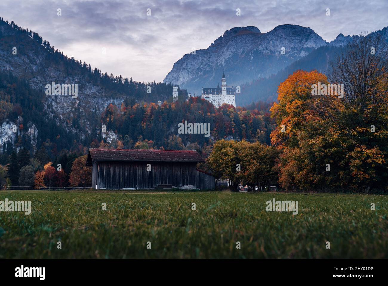 View of Neu Schwanstein castle in Germany in autumn with yellow trees ...
