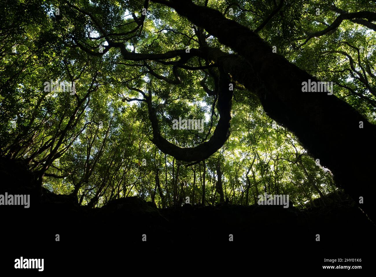 Pico, Portugal - 04 August 2021 : Entrance of Gruta das Torres lava ...