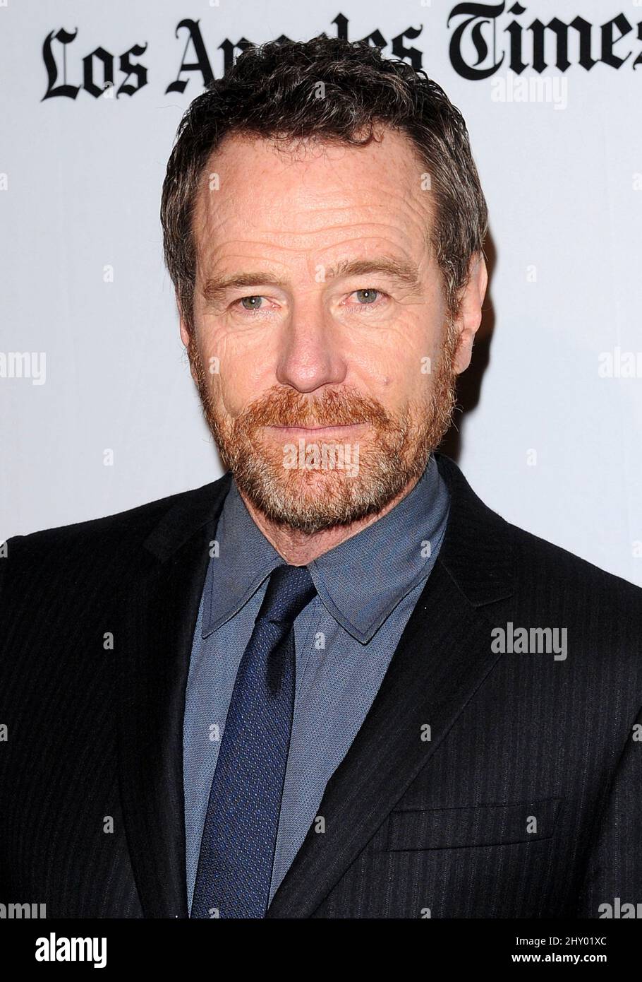 Bryan Cranston attending the 16th Annual Hollywood Film Awards Gala ...
