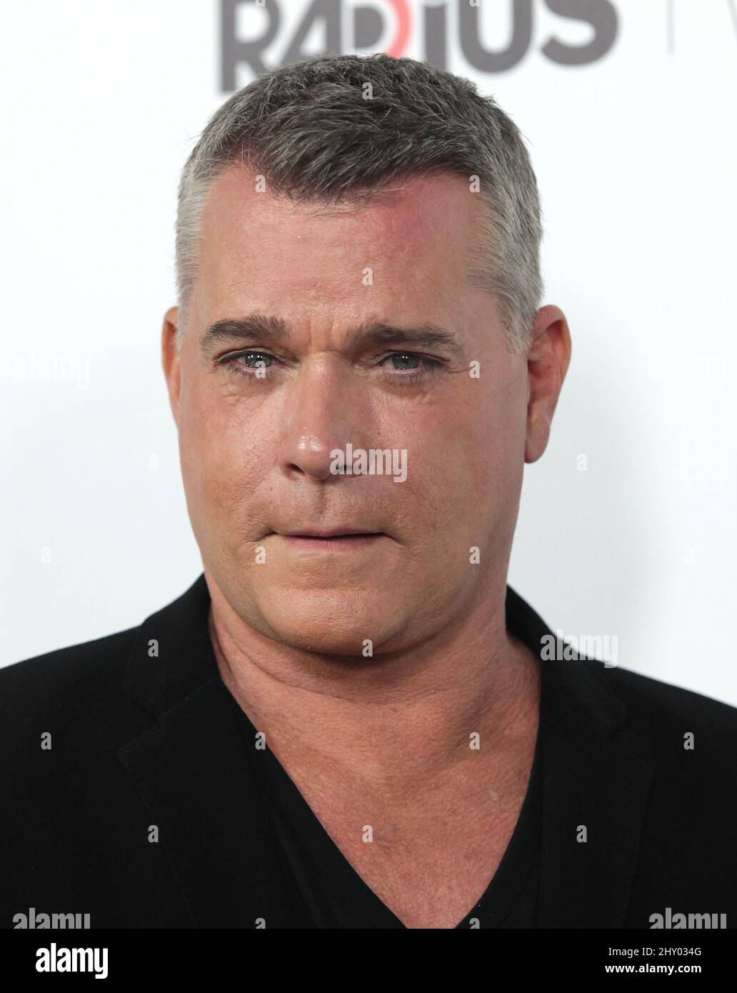Ray Liotta attending the premiere of "The Details" in Los Angeles Stock ...